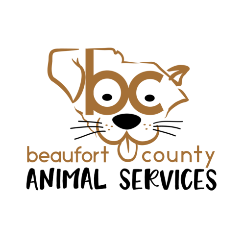 PickleJuice : Award Winning Web Design, Branding and Digital Marketing ...